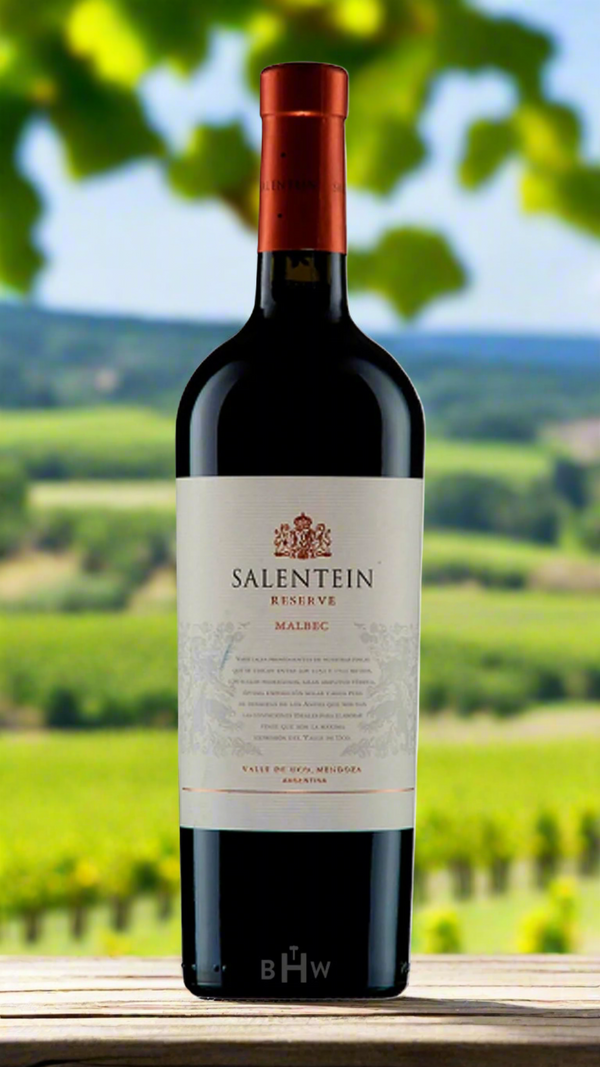 2020 Bodegas Salentein Reserva Malbec Tunuyan - BigHammerWines.com