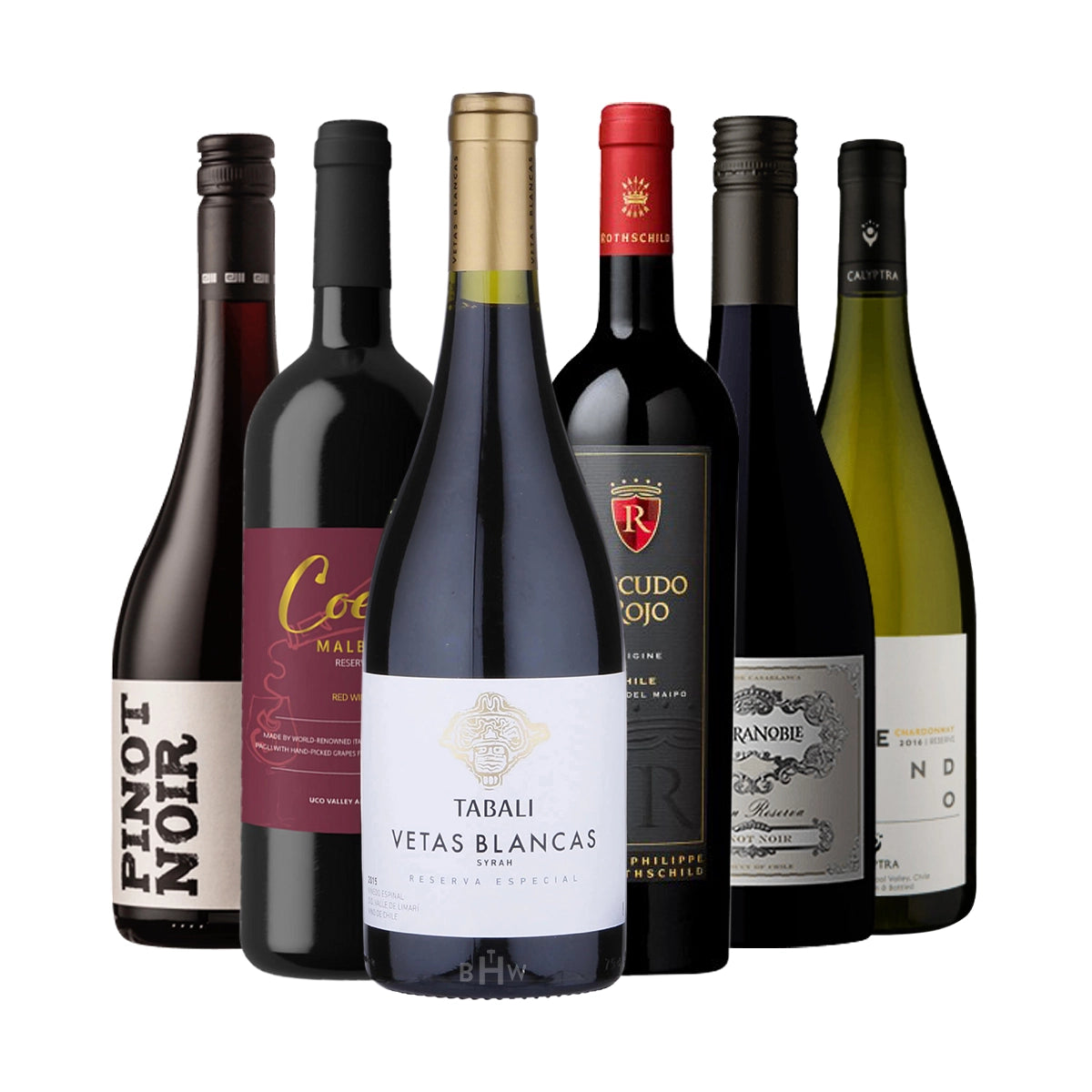 South American Chile & Argentina 6pk Sampler 6x750ml - BigHammerWines.com
