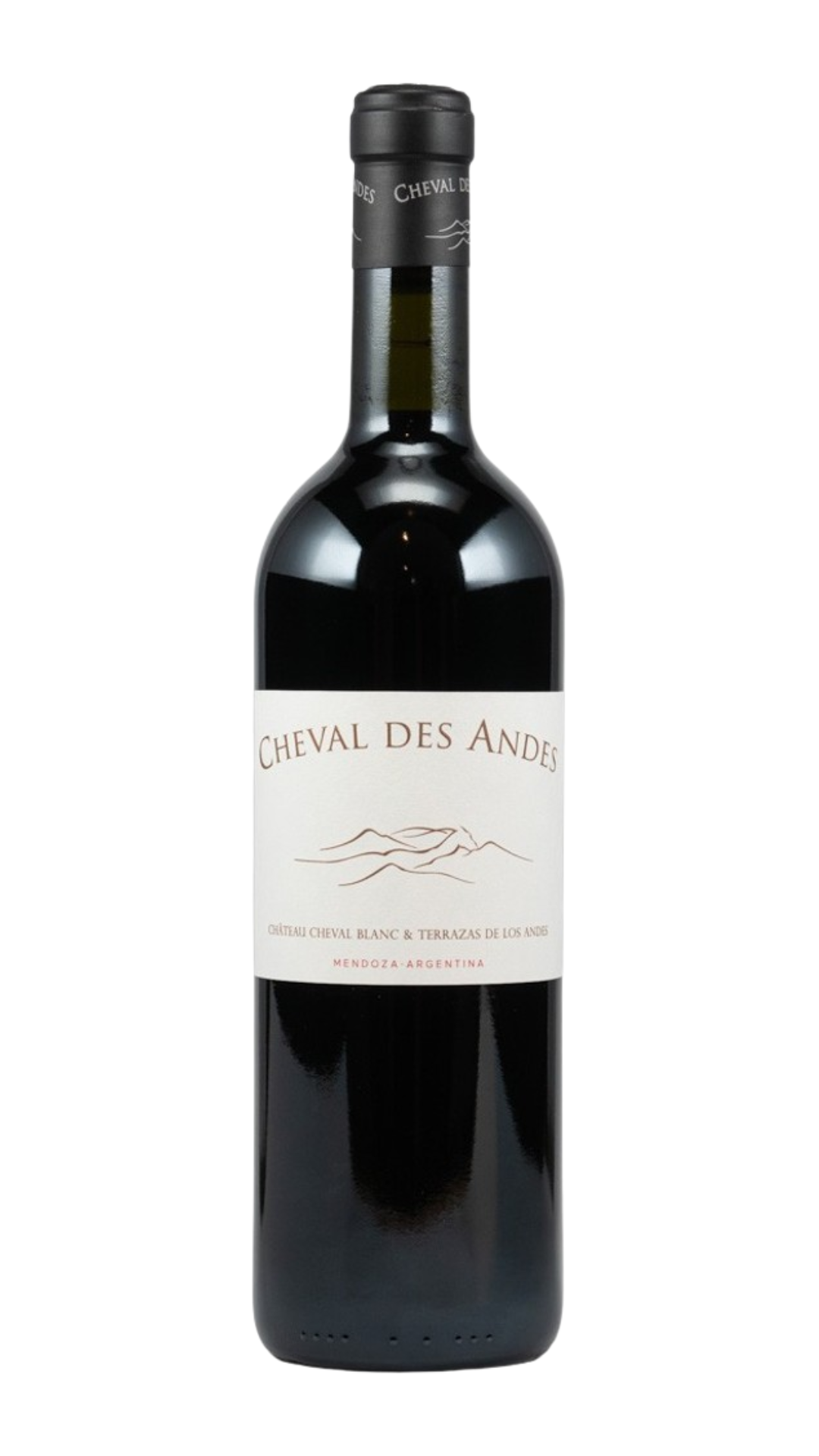 2019 Cheval des Andes Mendoza Argentina - BigHammerWines.com